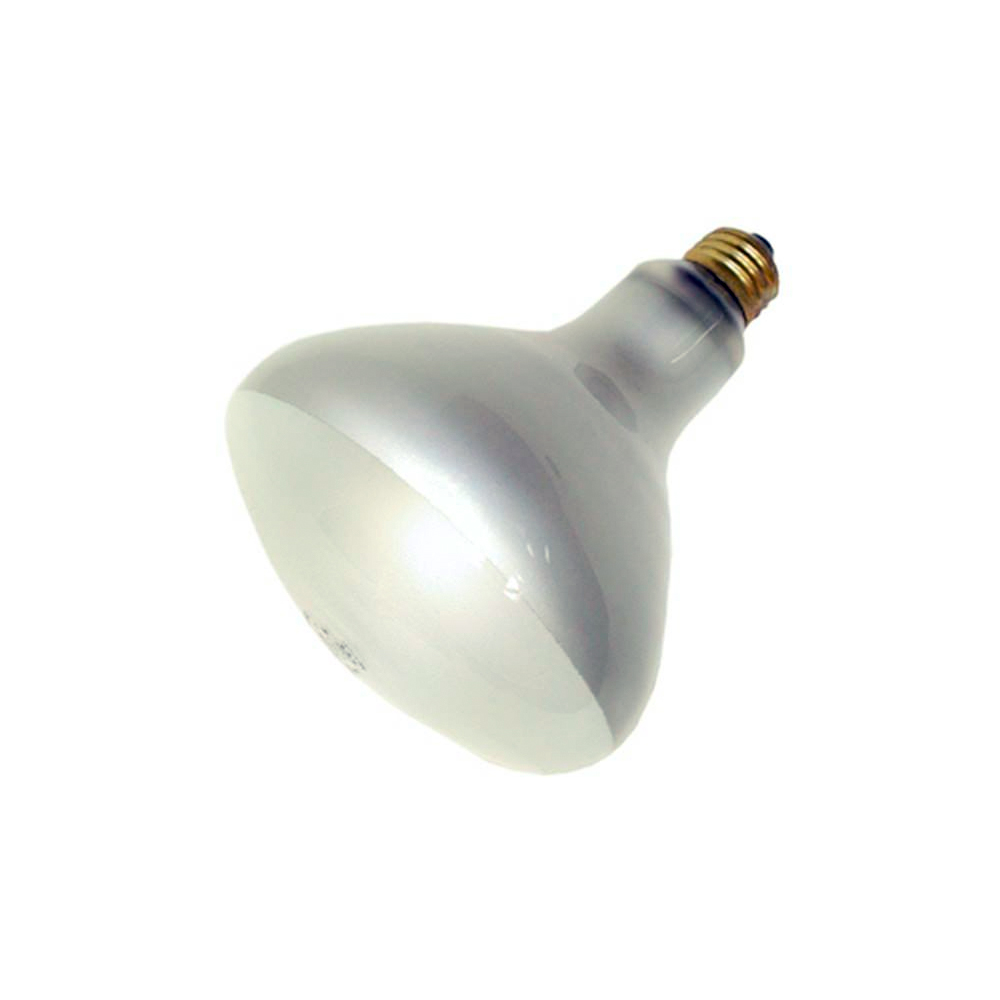 Ge Shatter Resistant Light Bulbs | Shelly Lighting