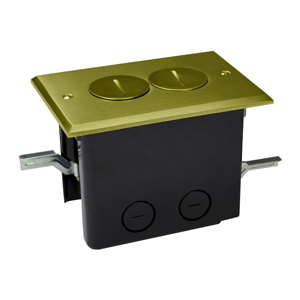 Allied Moulded FB-2 Rectangular floor box assembly with a brass Duplex ...