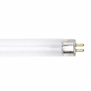 Ledvance F8T5/CW Linear Fluorescent Bulb, T5, Miniature Bi-Pin (G5 ...